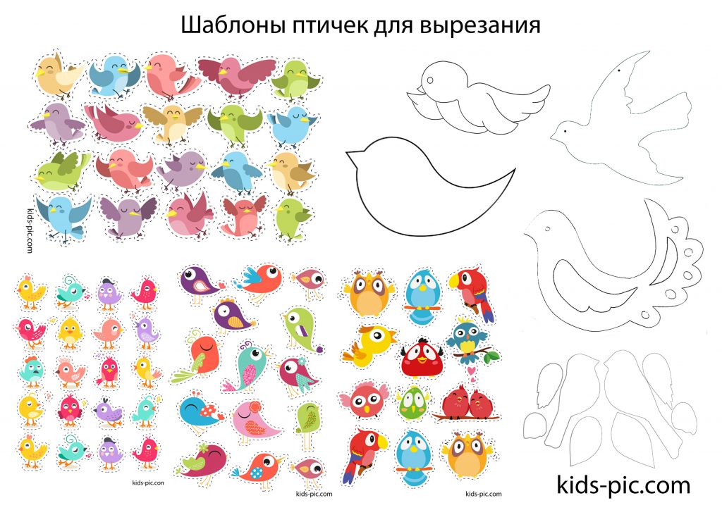 10 Free Paper Bird Cut Out Template | Kids-Pic.com